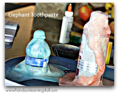Elephant Toothpaste: A Science Experiment to demonstrate an exothermic ...